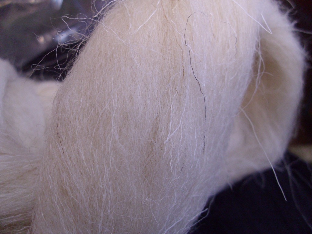 welsh mountain sheep wool | The Fiber of My Being