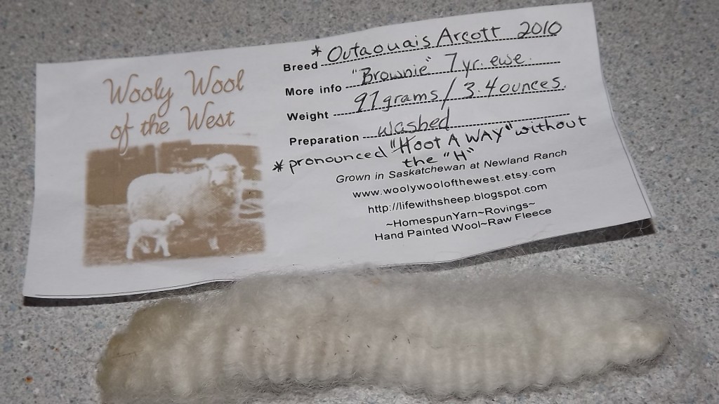 types of canadian arcott sheep | The Fiber of My BeingThe Fiber of My Being